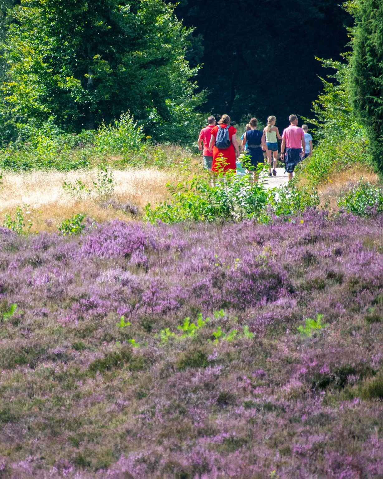 Projecten - Werkend Landschap